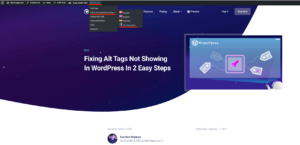 Fixing Alt Tags Not Showing In WordPress In 5 Min [No Coding]