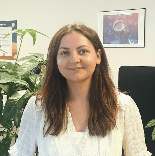 What are keywords in SEO, and how do they work? | Morningscore